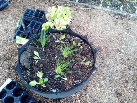 Hope Community Fridge & Garden, a Park in Chattanooga, TN — Hours ...